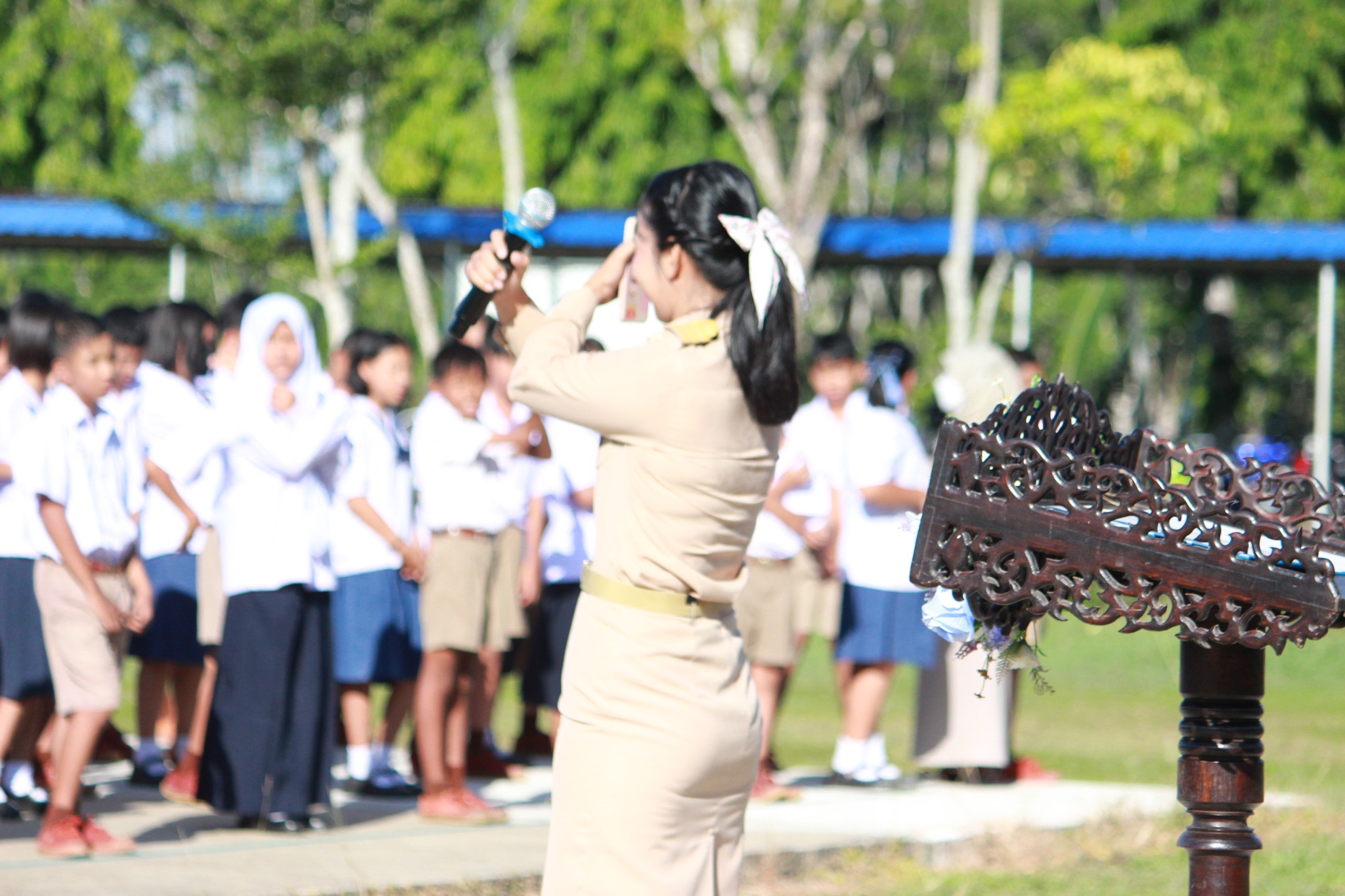 หน้าหลัก - โรงเรียนปาล์มพัฒนวิทย์